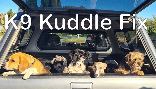 K9 Kuddle Fix - spaces still available! - Otago Polytechnic